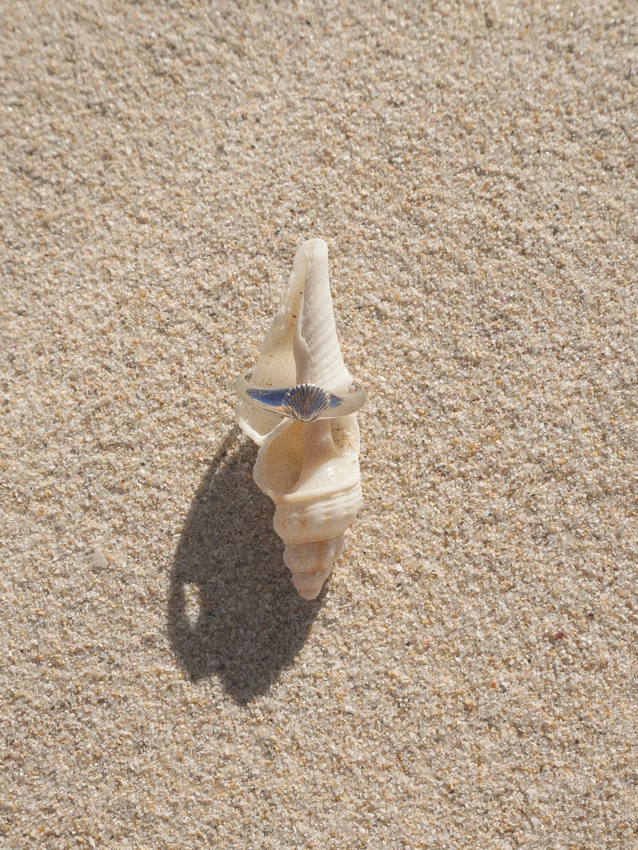 Shell Signet Ring in Sterling Silver – Malakai the Label