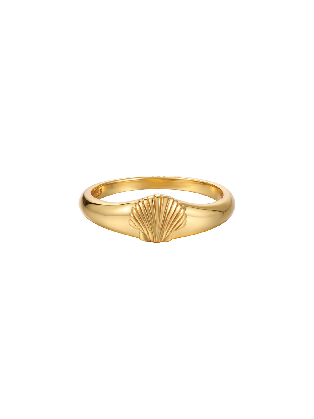Shell Signet Ring | MALAKAI – Malakai the Label